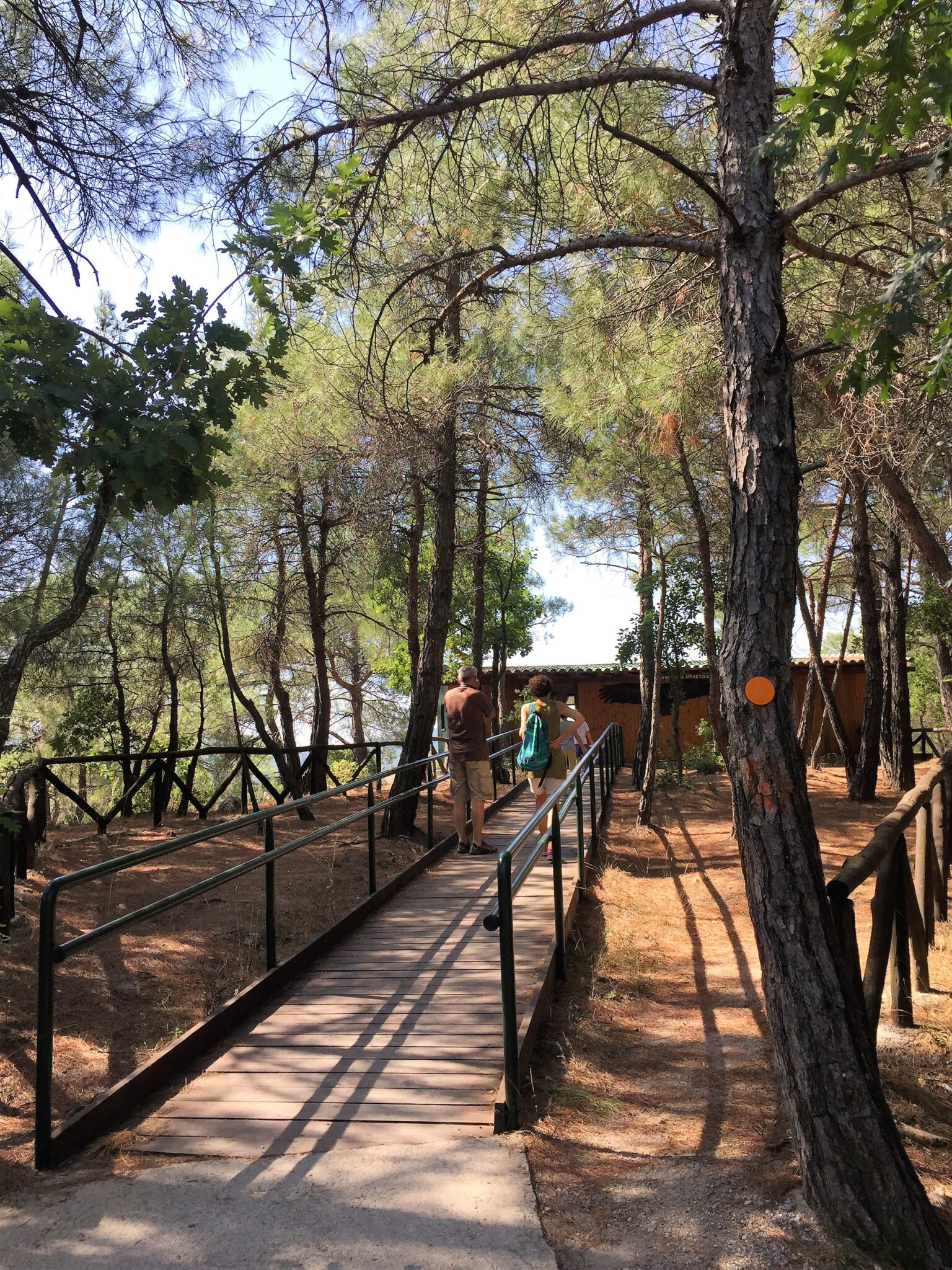 Day Trip to Dadia Mountain of Evros - GreekNomads